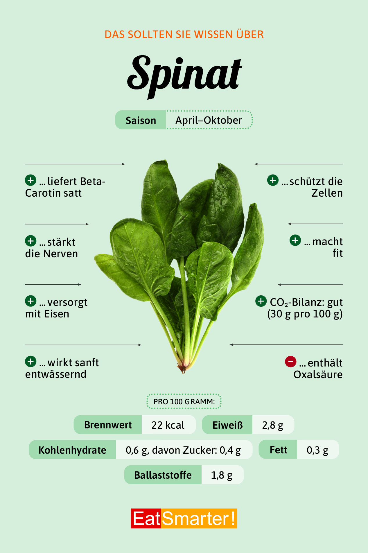 Spinat: Infos, Nährwerte & Kalorien | EAT SMARTER